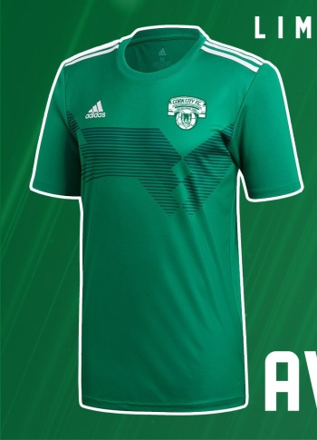 Cork City 2019 Adidas Retro Crest Jersey - Football Shirt Culture ...