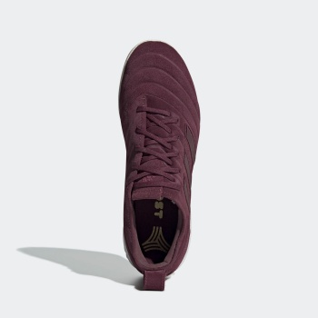 Adidas Copa 19+ Trainers - Maroon / Maroon / Gold Met